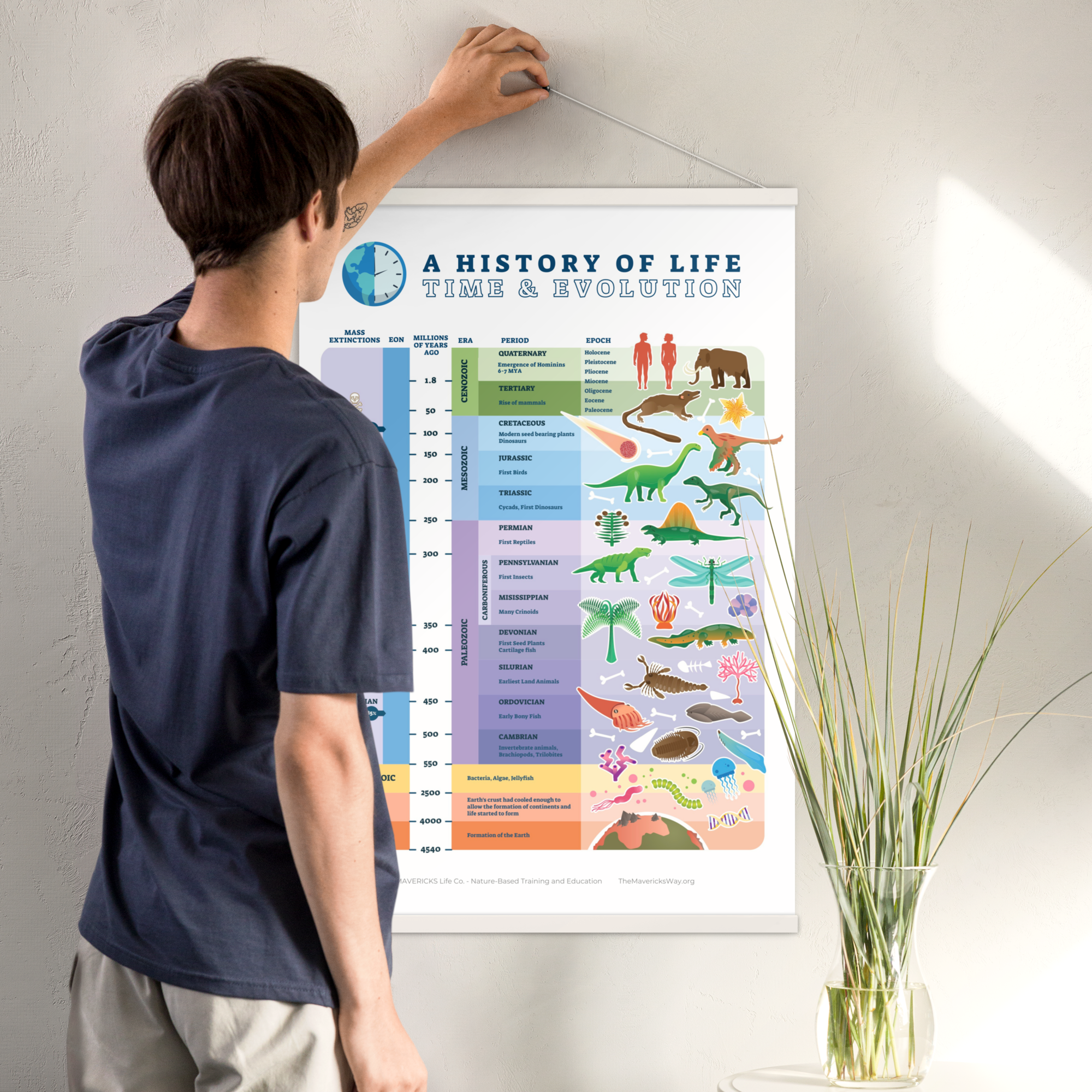 Evolution: History of Life Poster – Active By Nature